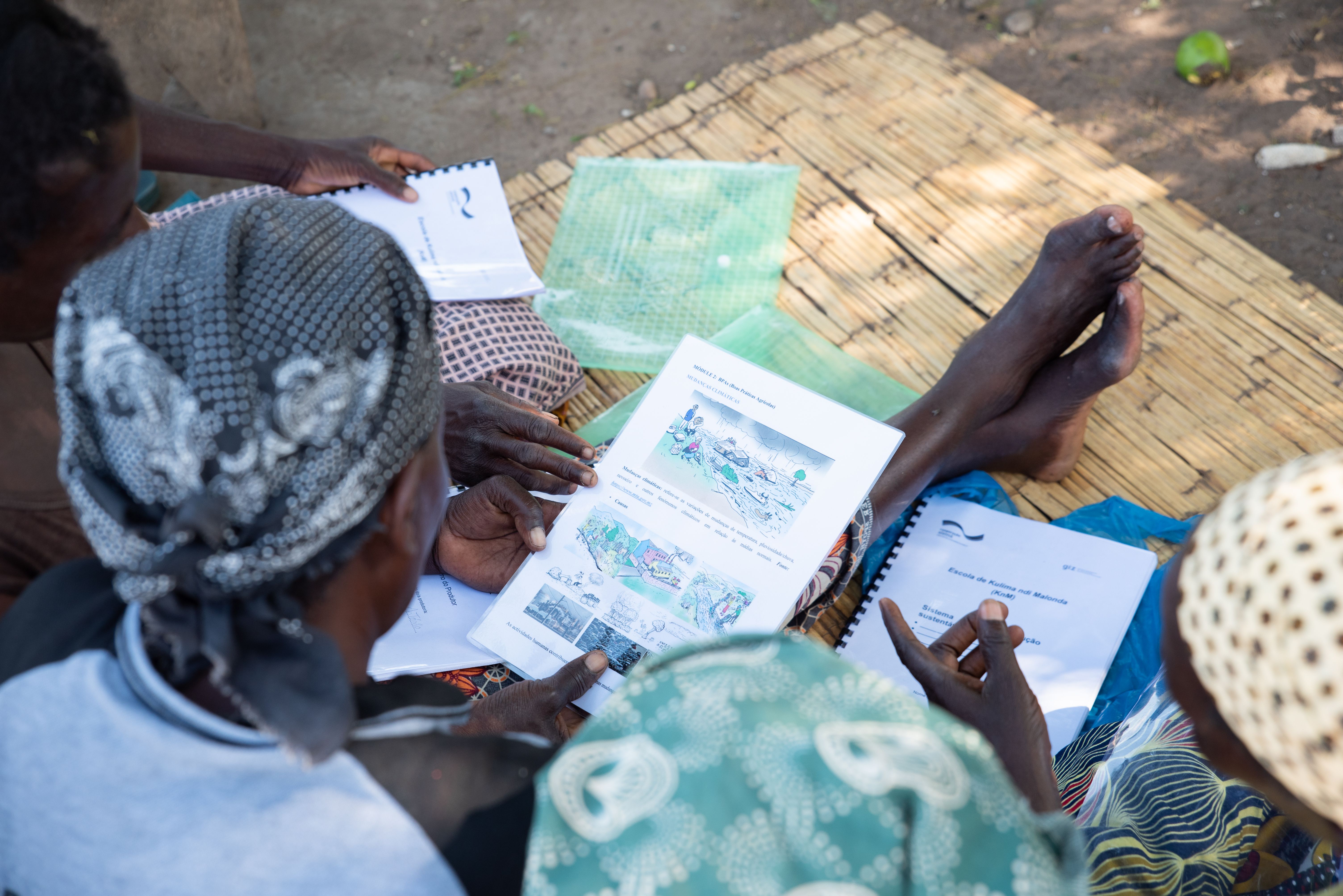 Empowering Mozambique’s farmers: Innovative German programme boosts ...