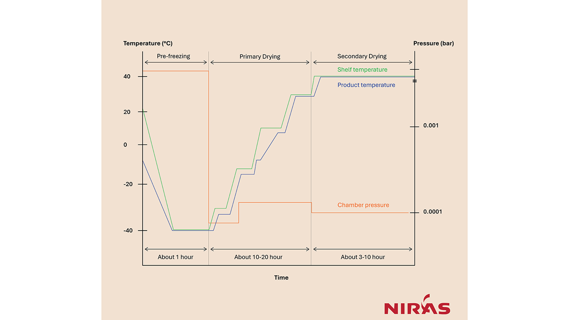 Bulk freeze drying: Scaling up lyophilization for large scale production
