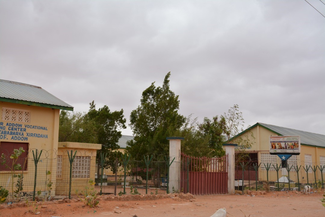 Laying the physical and institutional foundations for a growing ...