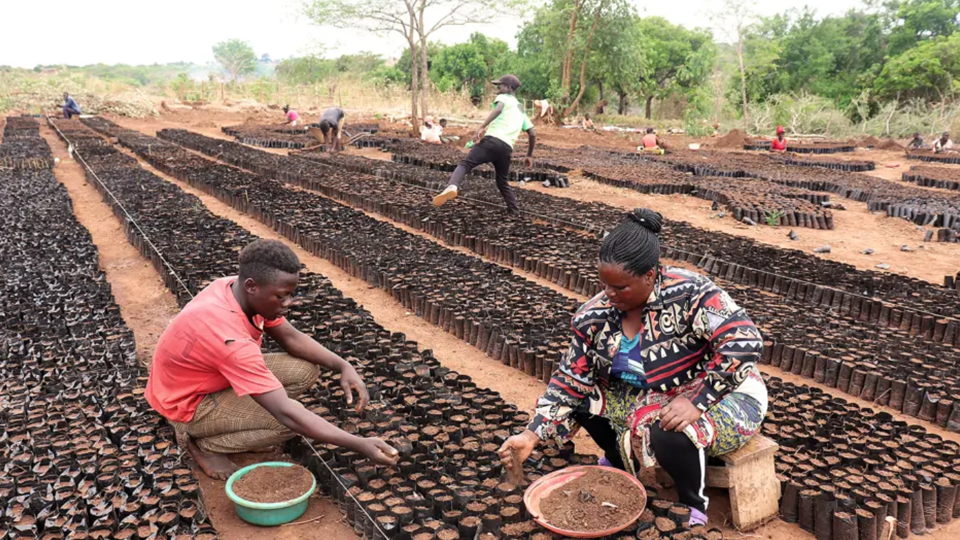 How the 'Climate & Sustainable Development Goals' Conference Ties in ...