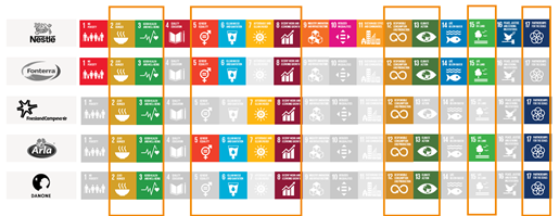 Sustainable Development Goals in Practice