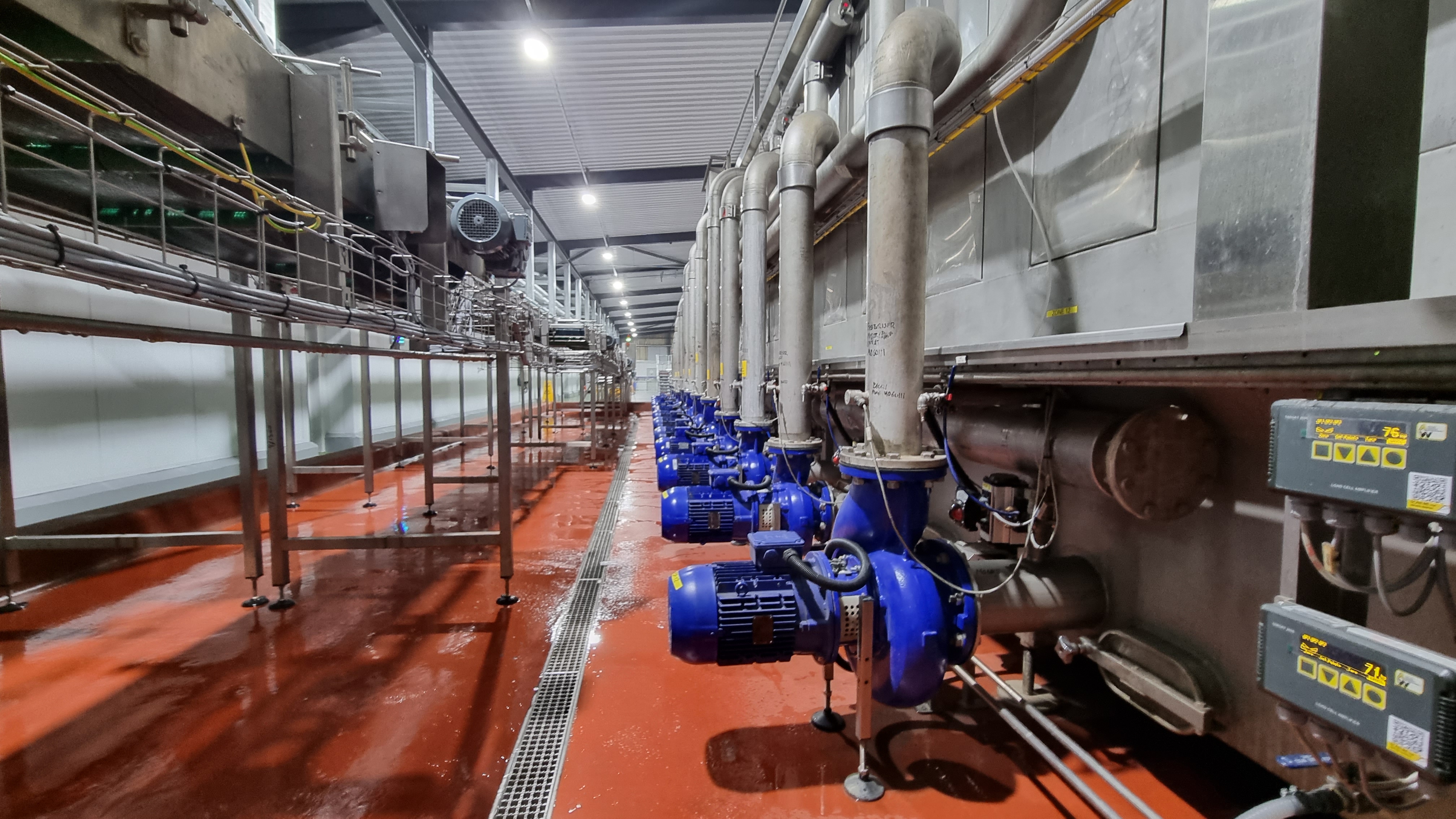 Hereford Contract Canning Company increases productivity with new ...