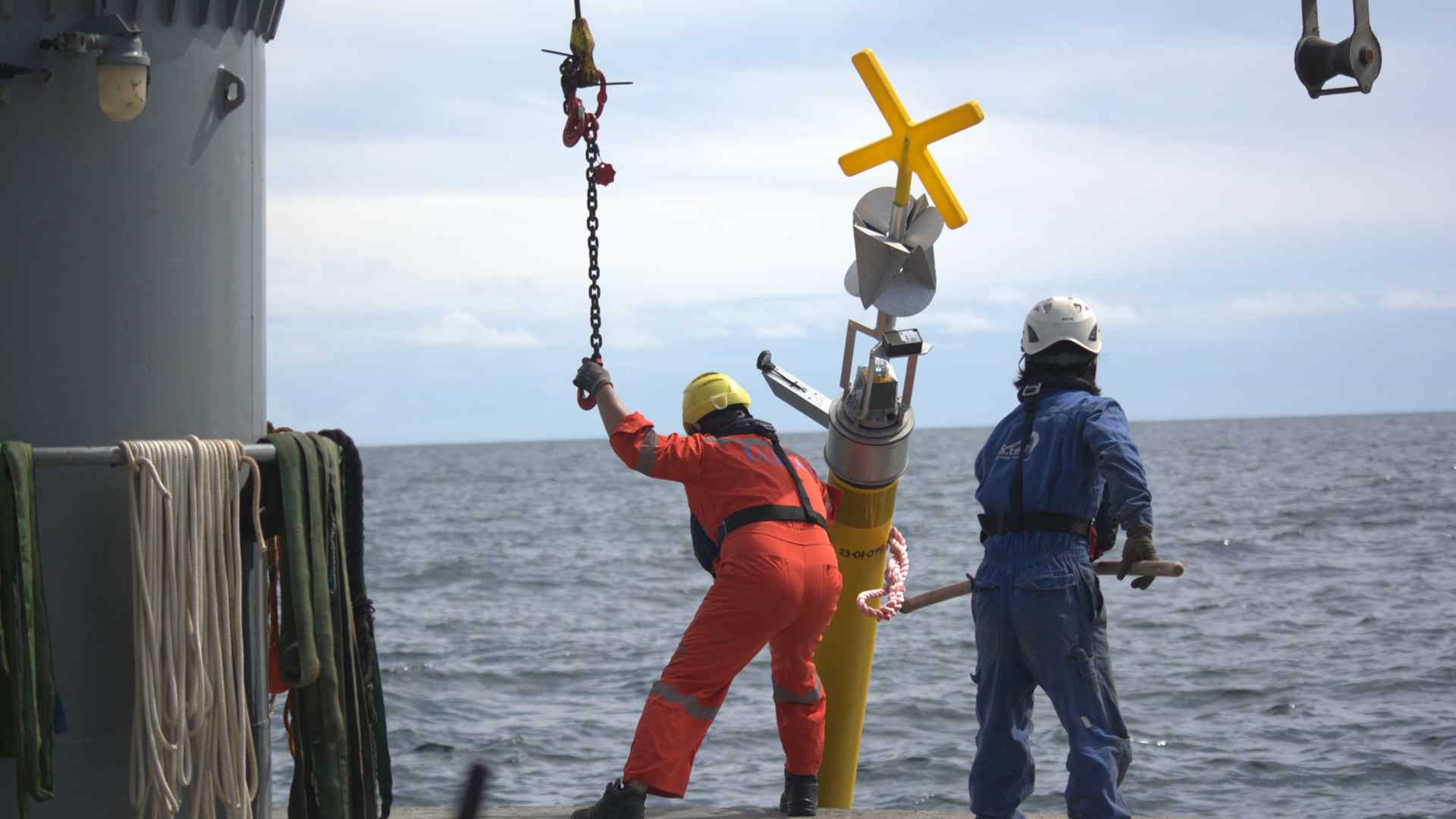 Extensive field study in the North Sea shows the way for offshore wind ...