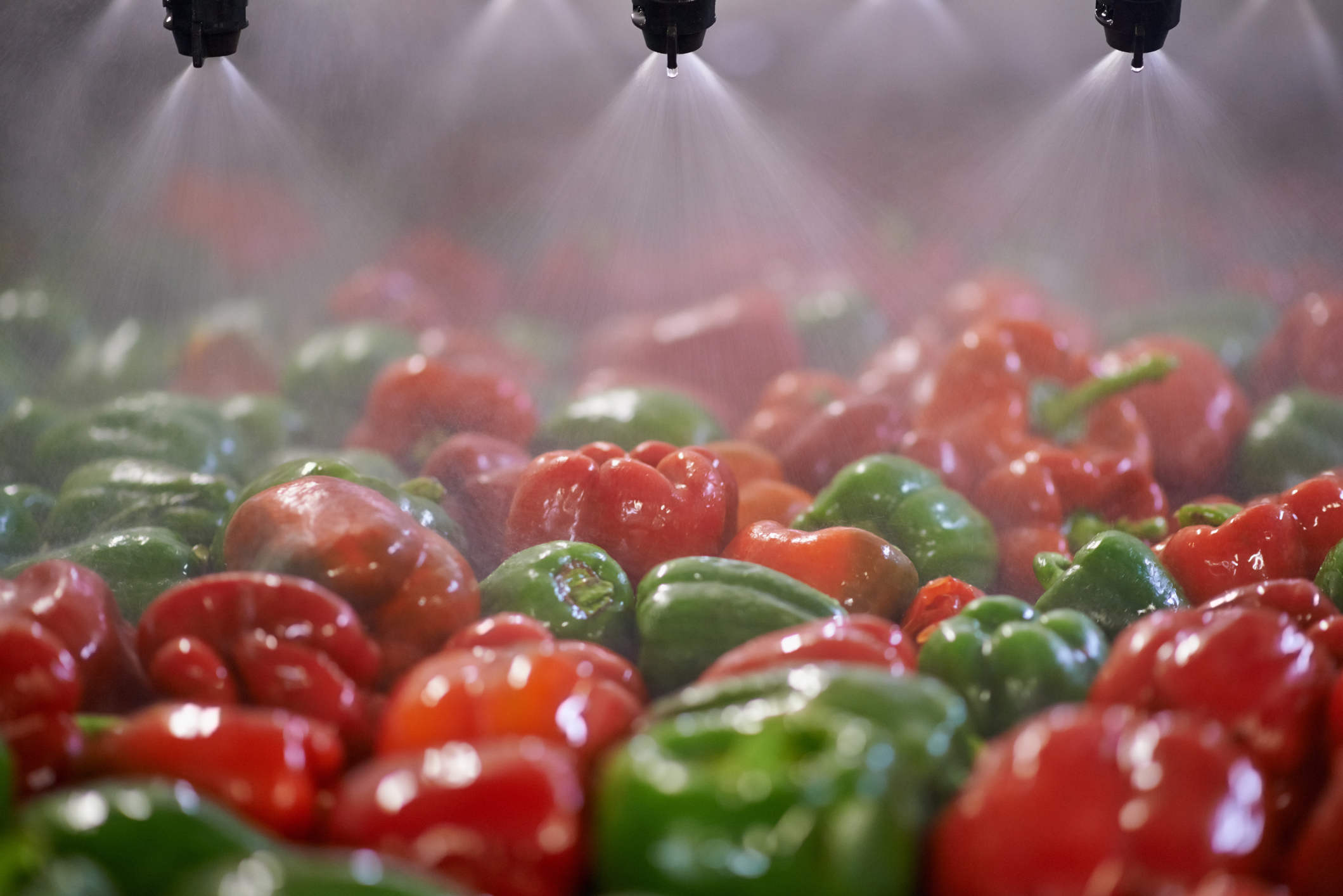 Lessons learned from industry giants on water in the food industry
