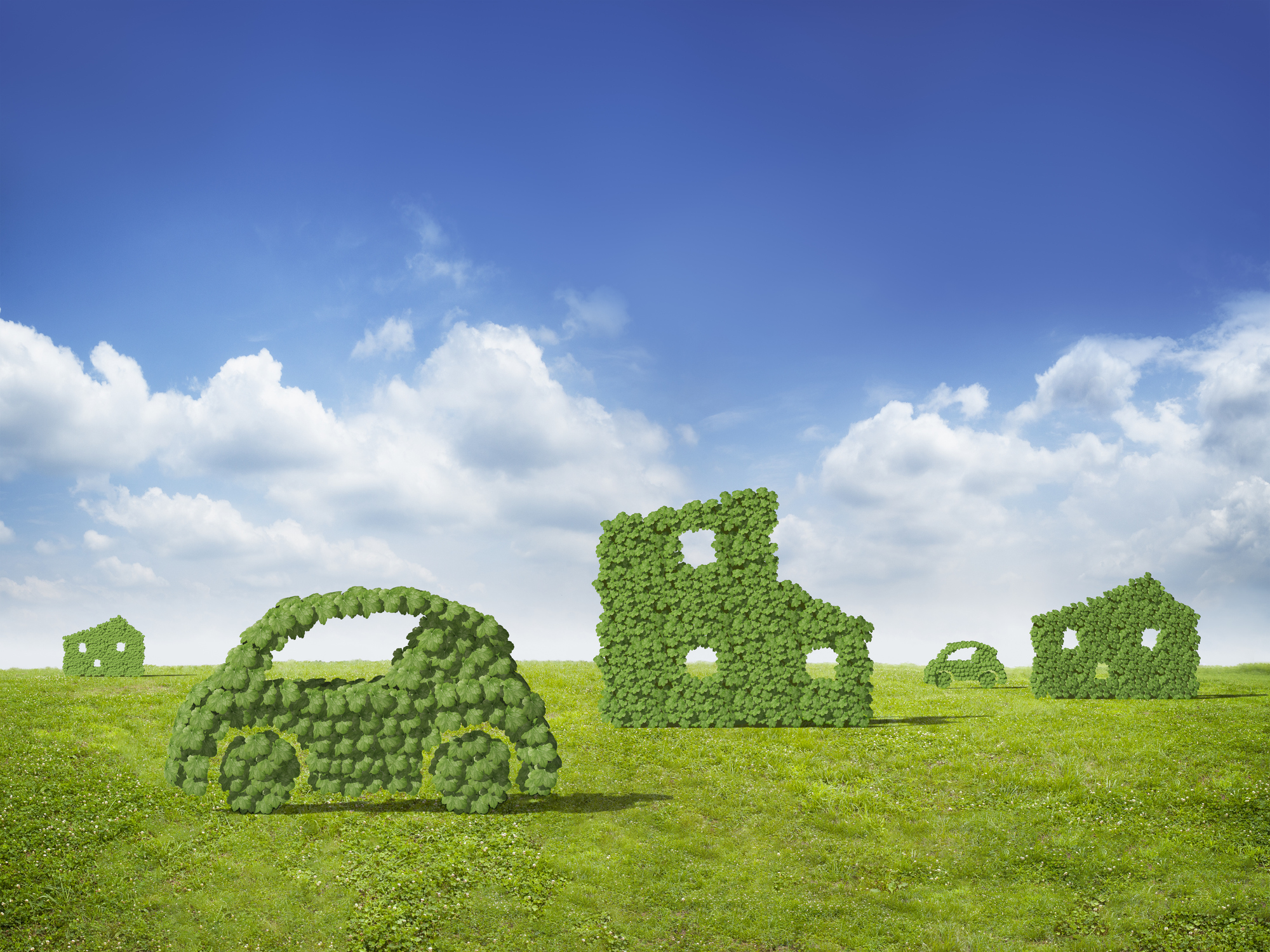 Biofuels’ role in the green energy transition