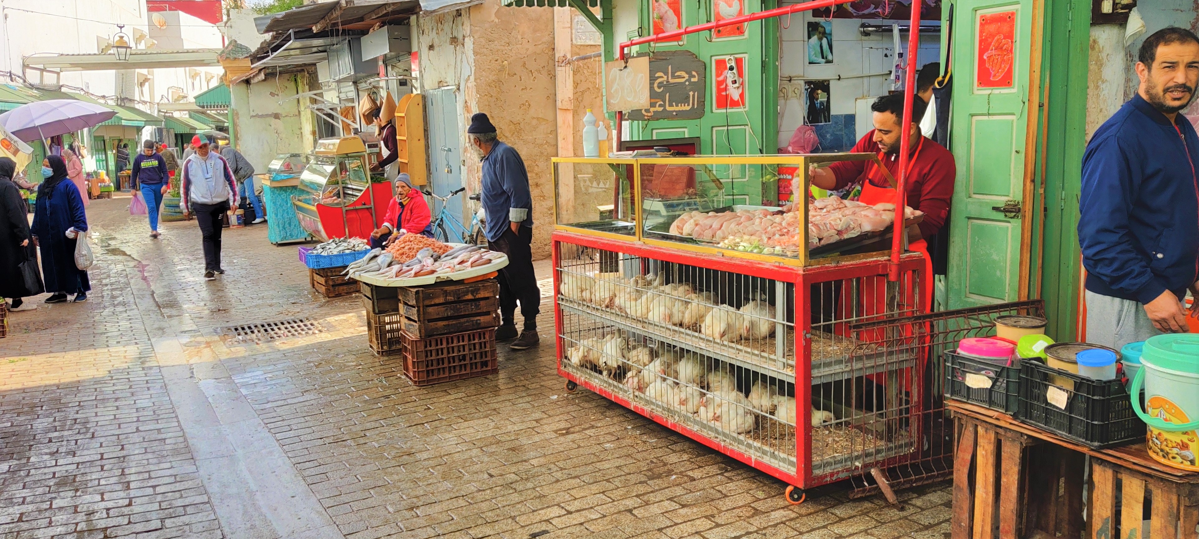 NIRAS in Morocco: A sustainable and inclusive approach in support of a burgeoning economy