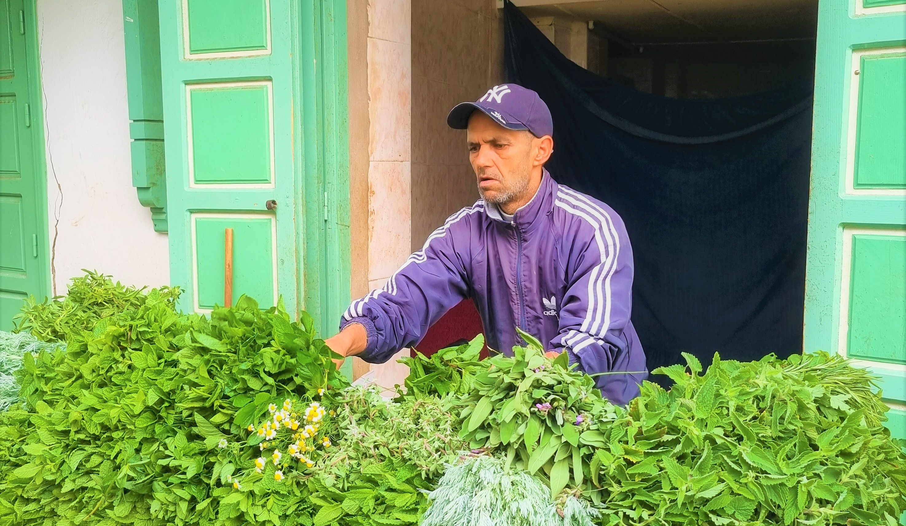 NIRAS in Morocco: A sustainable and inclusive approach in support of a ...