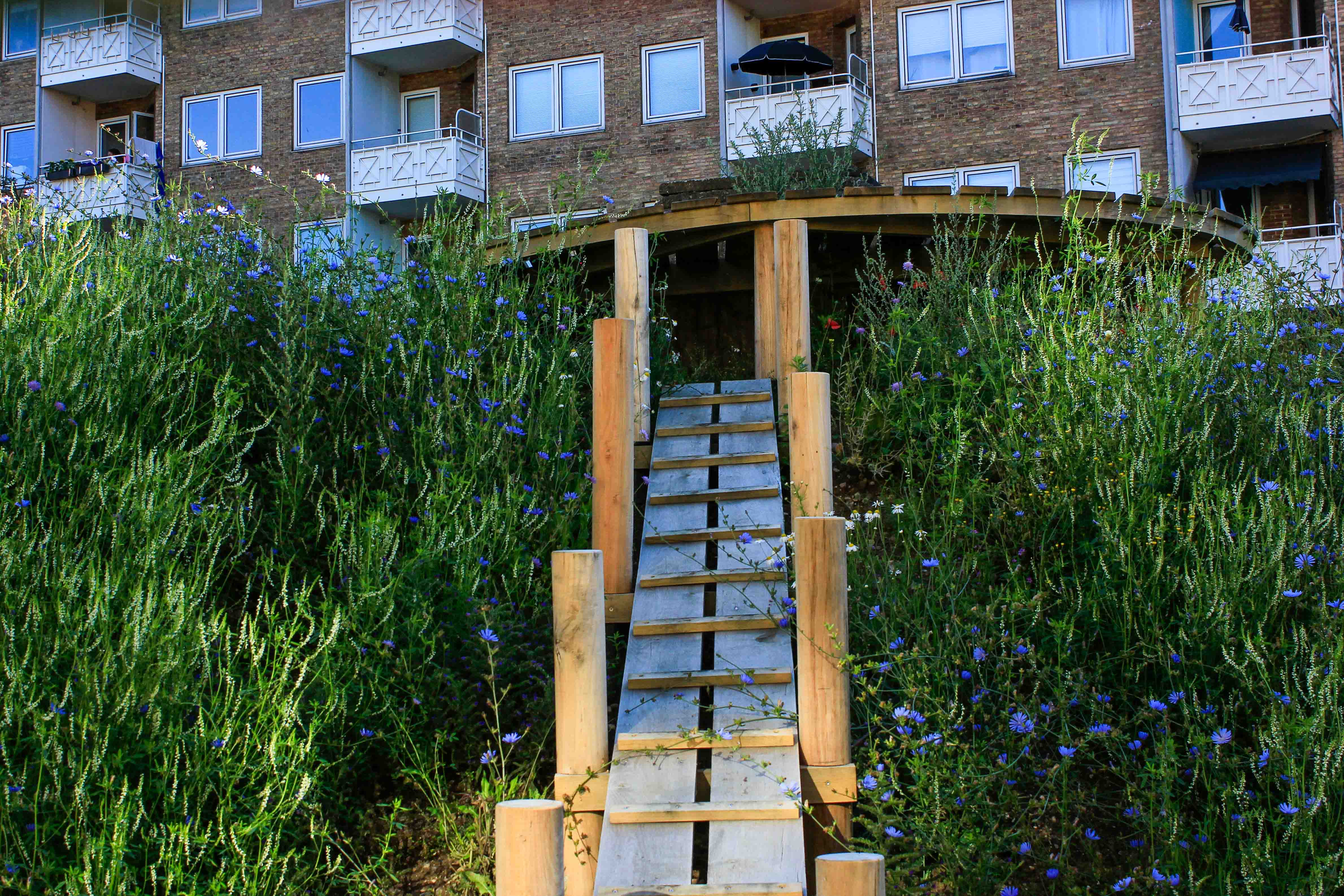 18 basins in urban park can now retain 3,000 cubic metres of rainwater