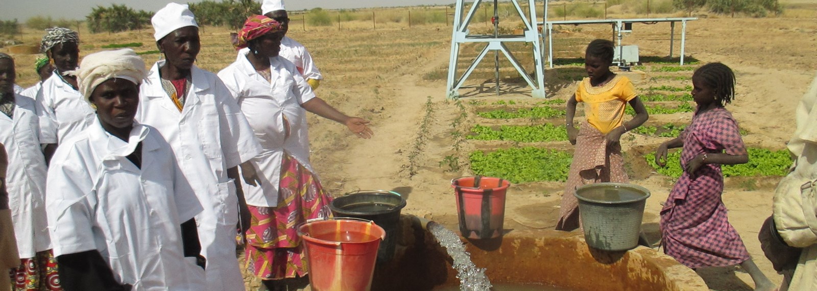 From market gardens to fish farms, assessing a project’s impact on the ...