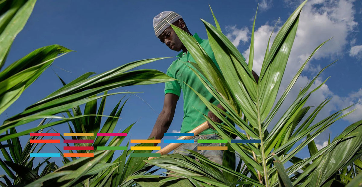 Development Consulting | Sustainable development solutions