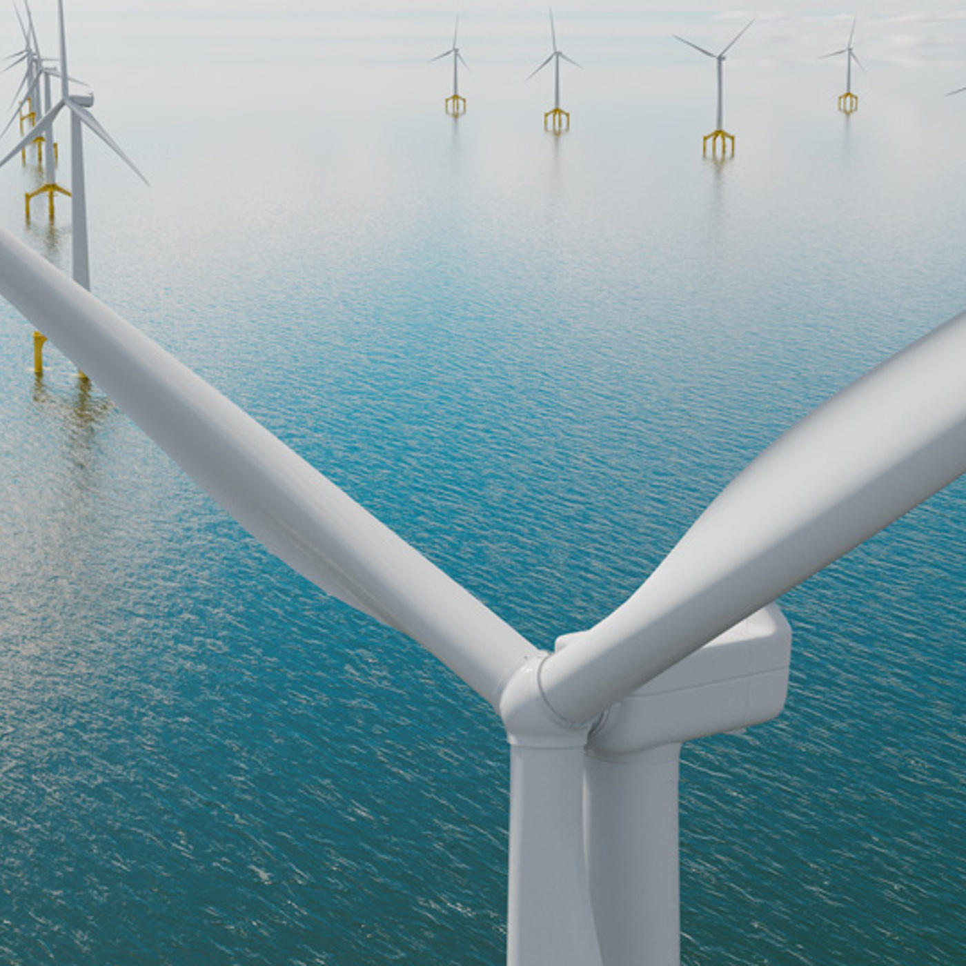 Join the GREENsition