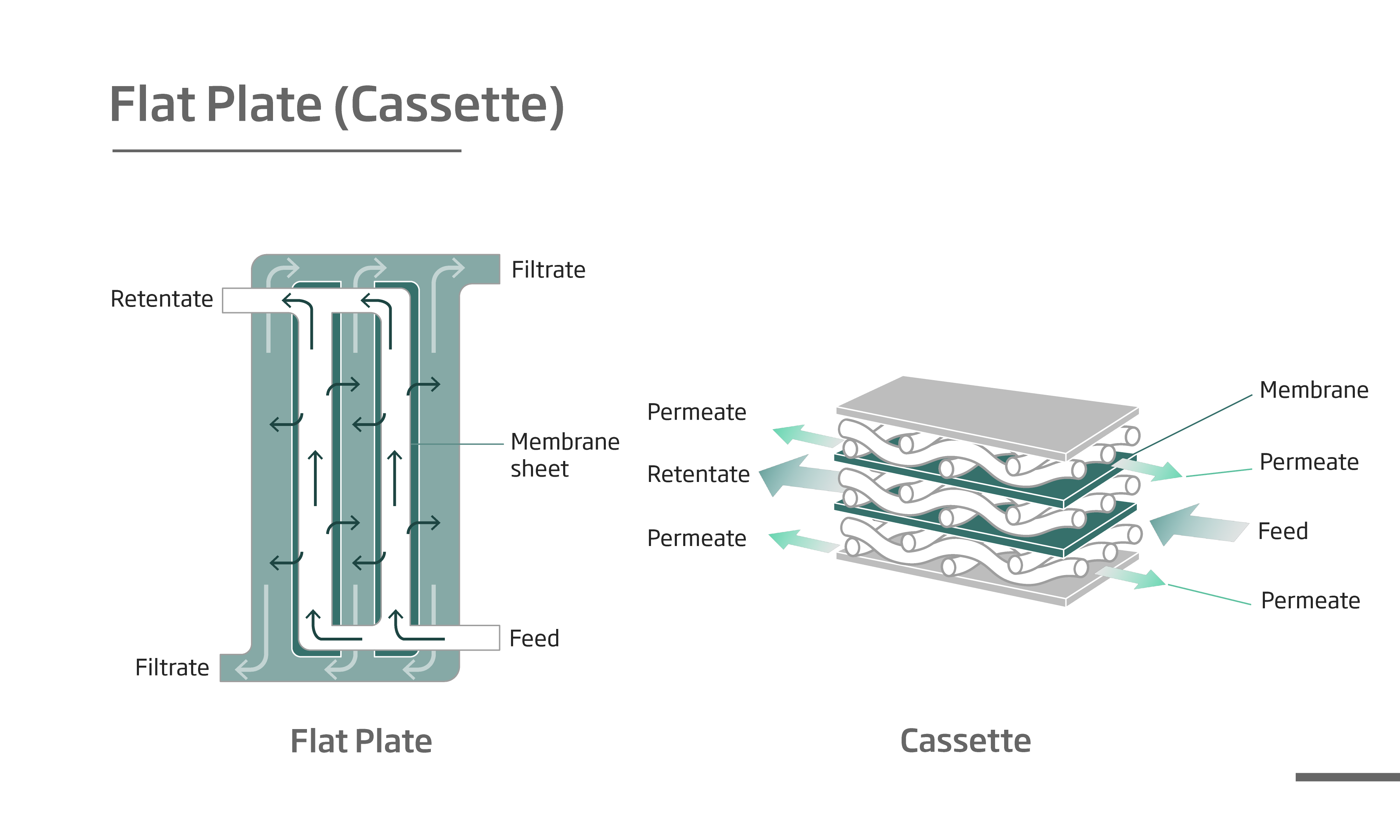The vital role of Tangential Flow Filtration in the Pharmaceutical and ...