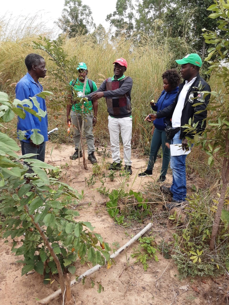 By upscaling nature’s own solutions, Mozambique's rural population are ...