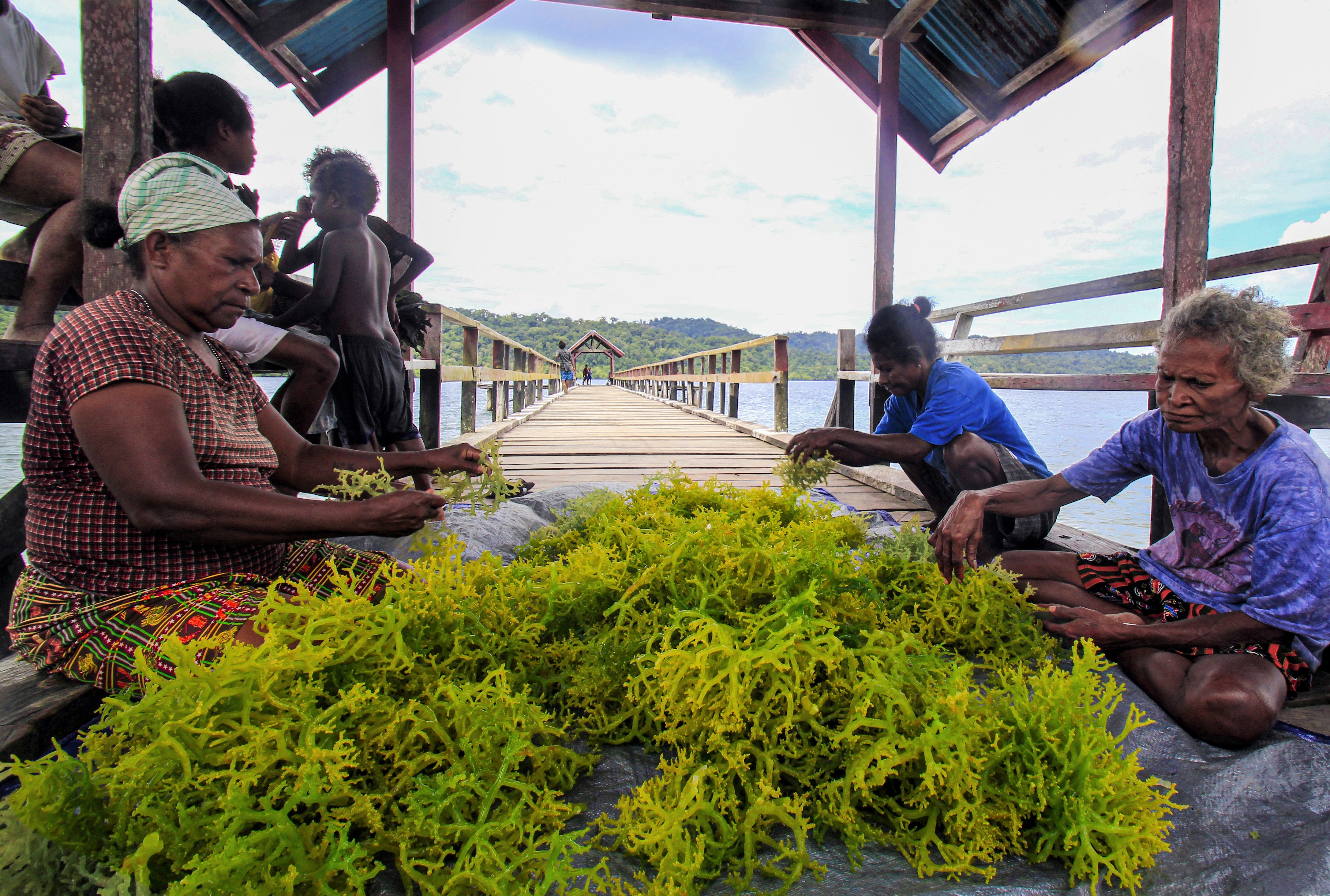 Climate-smart agriculture needs functioning market systems to become an ...