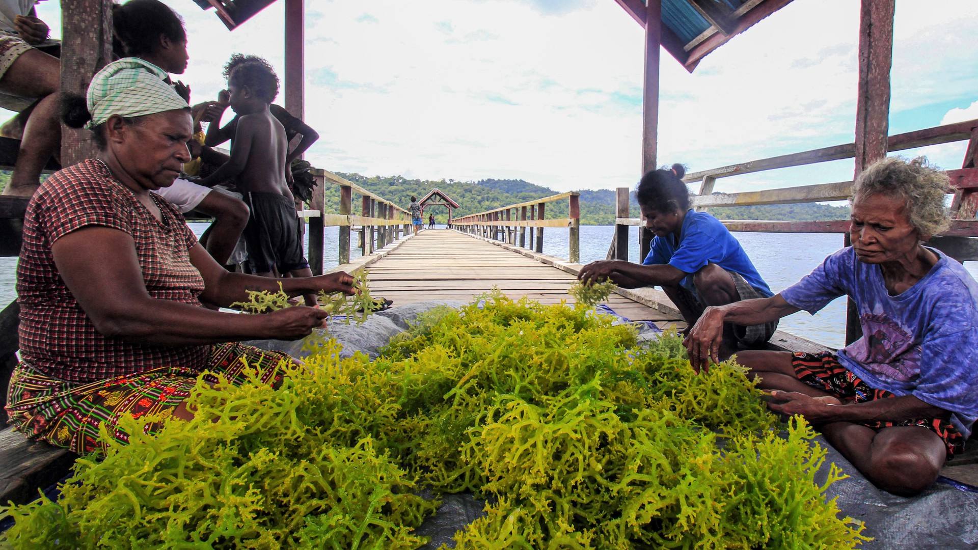 Climate-smart agriculture needs functioning market systems to become an effective tool for ...