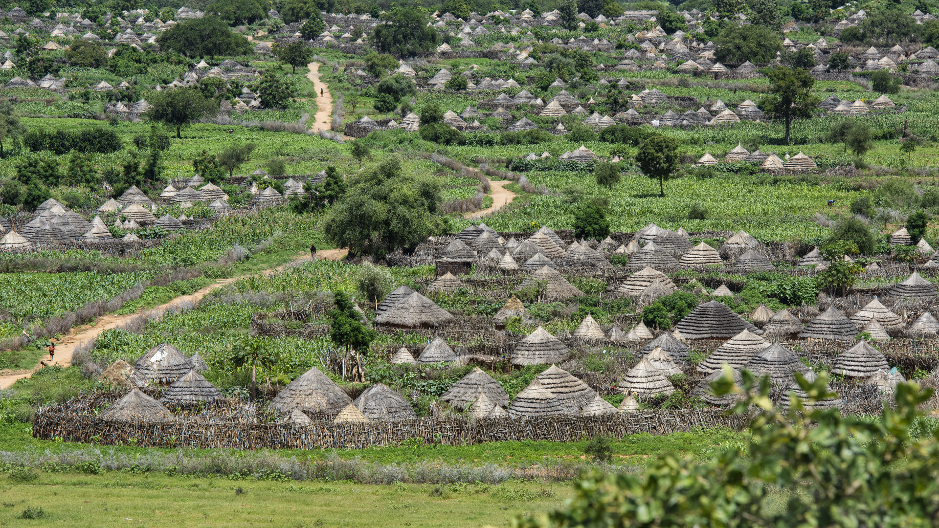 Mapping pathways for resilience: Insights for Uganda’s biodiversity and ...