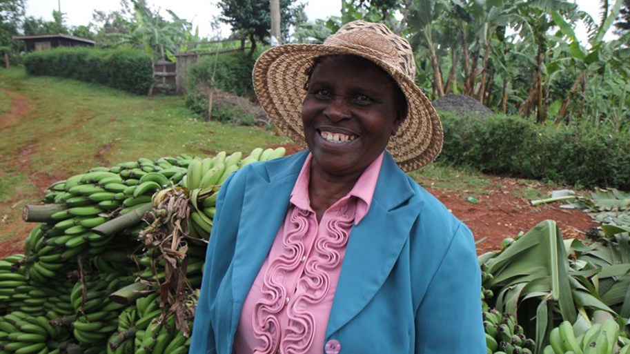 Transforming Agricultural Production In Kenya