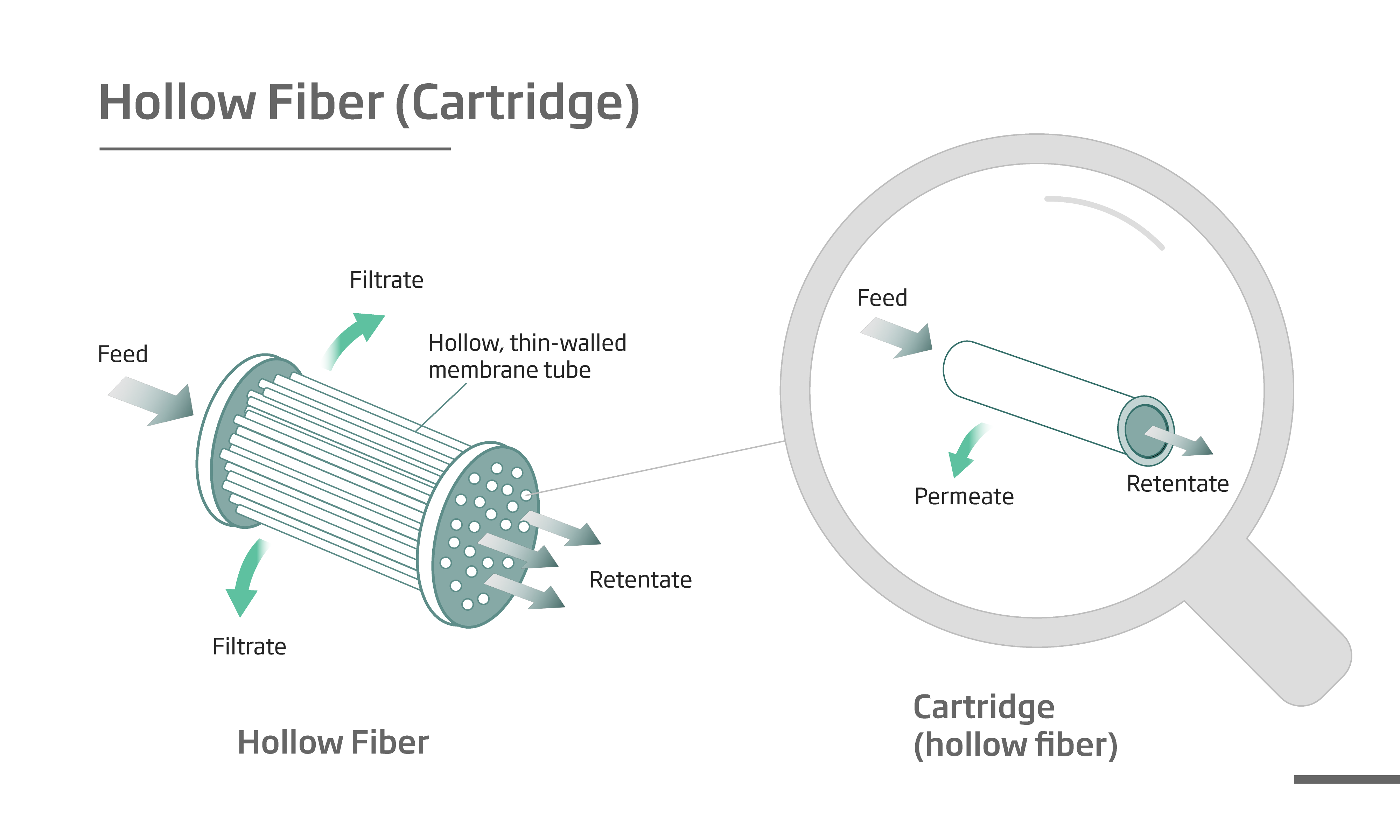 The vital role of Tangential Flow Filtration in the Pharmaceutical and ...