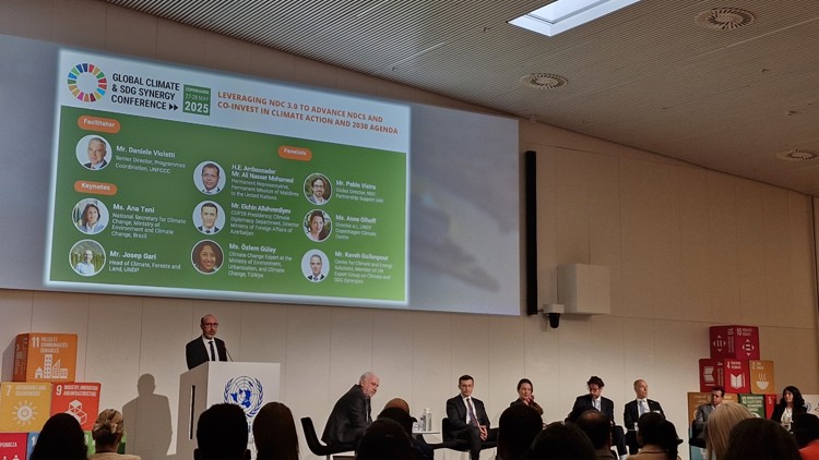 How the 'Climate & Sustainable Development Goals' Conference Ties in ...