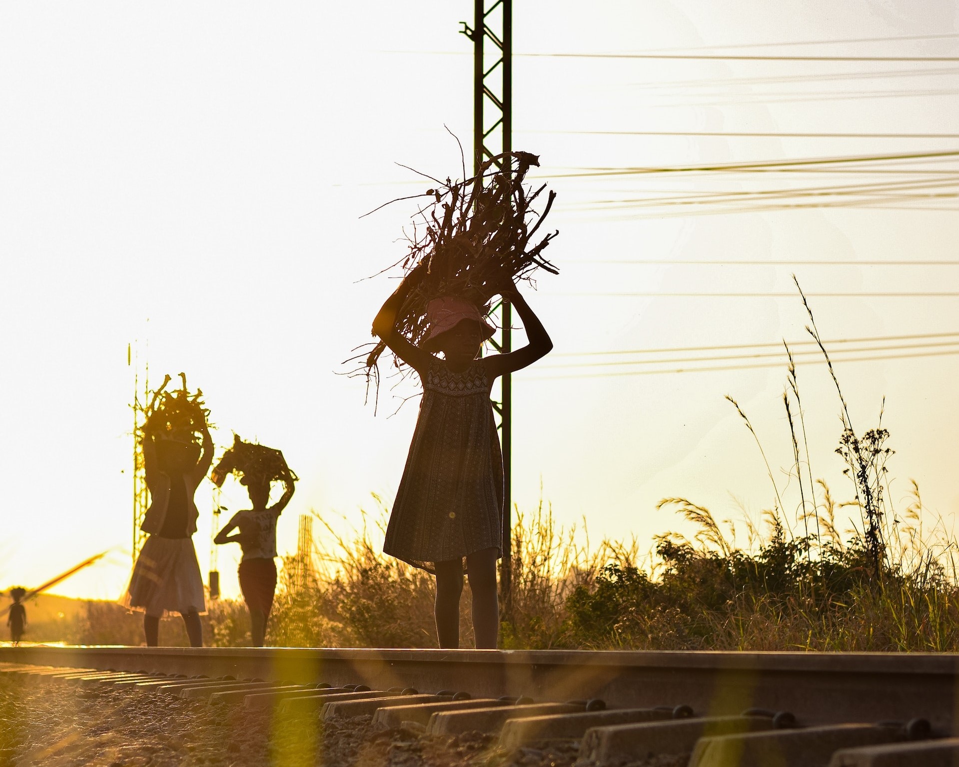 Building the capacity of key Zimbabwean institutions to effectively and ...