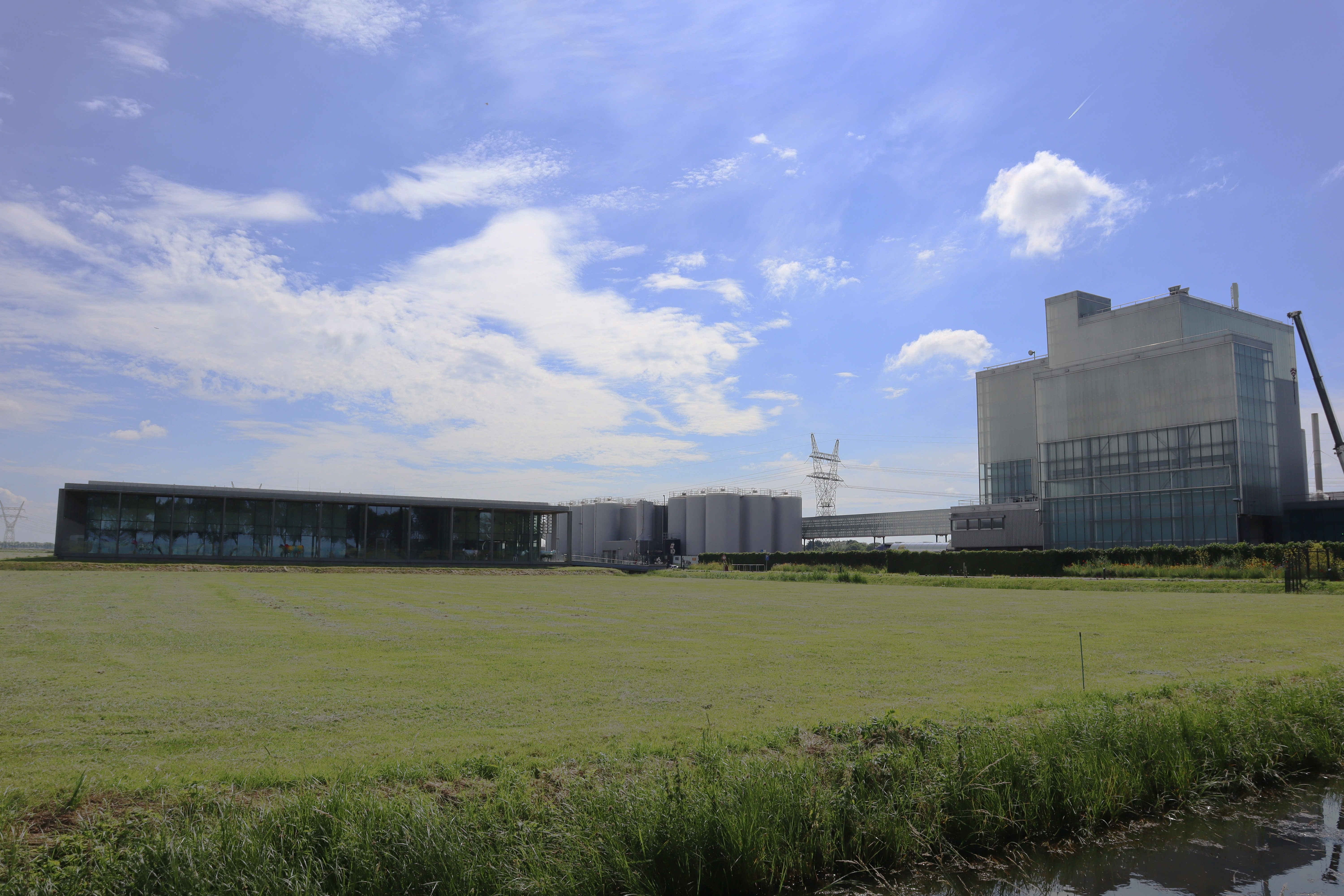 Sustainable cheese production: Part of a climate-neutral cheese chain