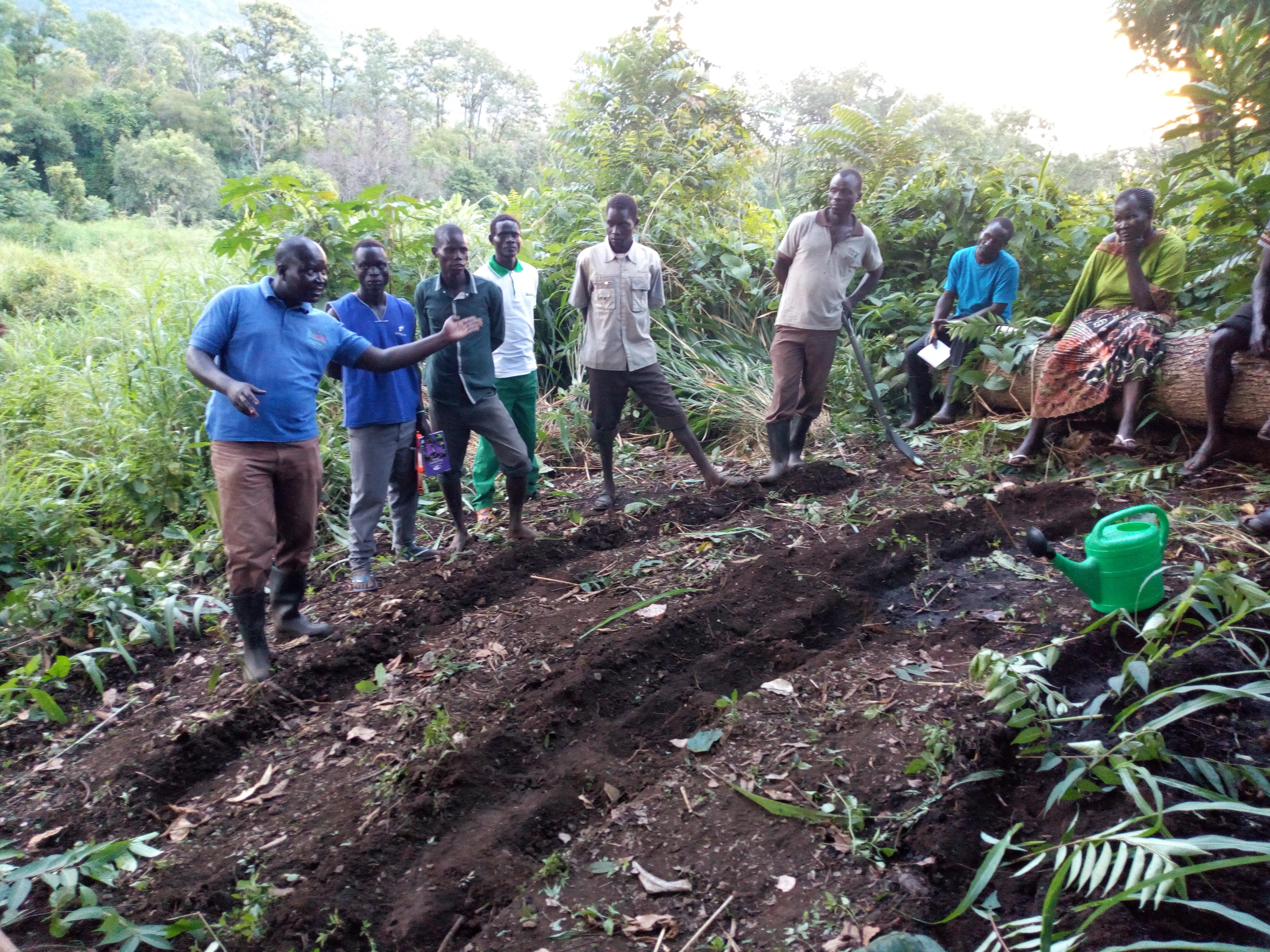 Addressing migration: collaborative strategies and sustainable ...