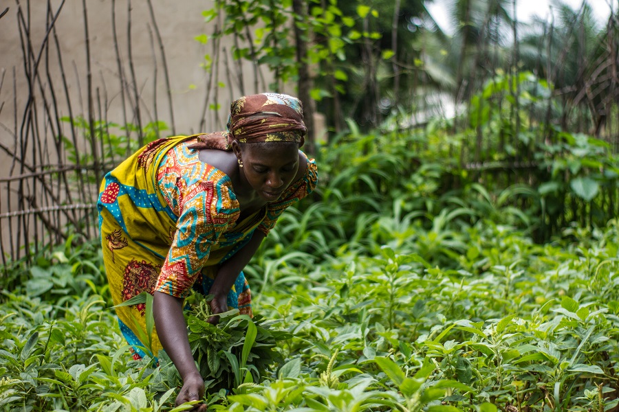 Lessons from 50 years of international development: reflecting on the ...