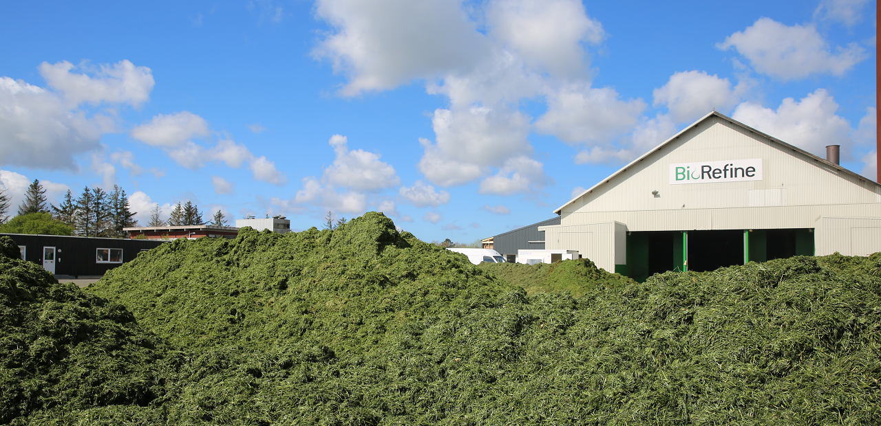 BioRefine opens new plant for production of grass protein