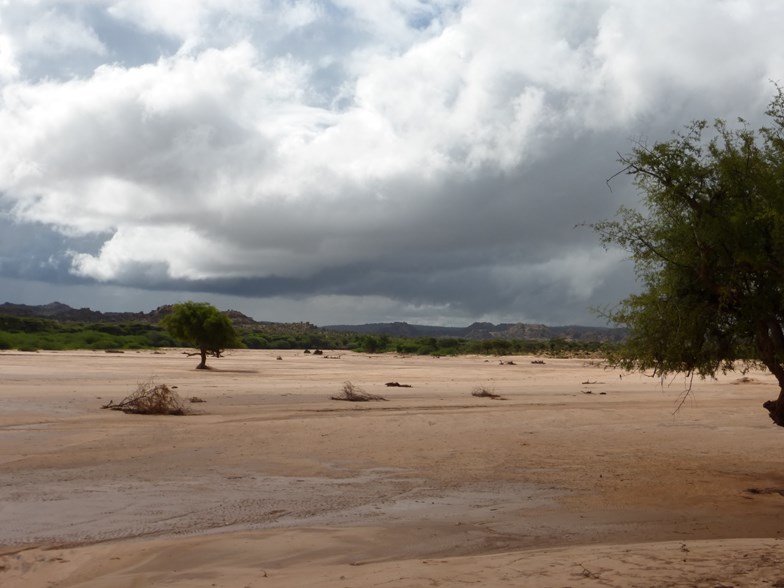 Remotely sensed data coupled with GIS application and hydrological ...