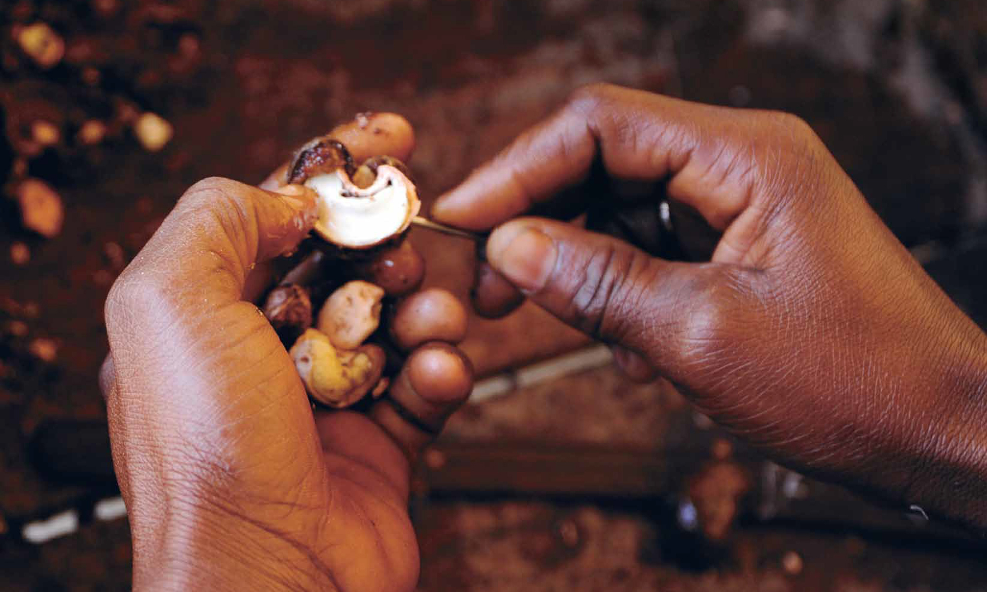 From farm to market: transforming two of Ghana's key agricultural ...