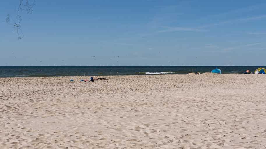Denmark's largest offshore wind farm gets the green light